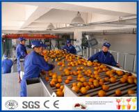 China Full Automatic Energy Saving Orange Processing Line 2-50T/H Turn Key Project for sale
