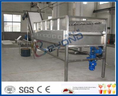 Cina Attrezzatura di lavorazione della frutta dell'acciaio inossidabile SUS304 per la frutta e le verdure di pulizia in vendita