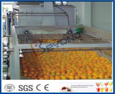 Cina Attrezzatura di lavorazione della frutta dell'acciaio inossidabile SUS304 per la frutta e le verdure di pulizia in vendita