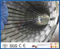 China Industrial Fruit Juice Processing Brush Washing Machine 3-20 T/H Capacity SUS304 for sale