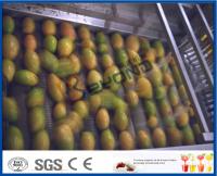 China Mango Juice Processing Plant 5-50T/H Fruit Pulp Production Line with PLC Control for sale