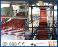 China Tomato Processing Line 2-50T/H High Yield 90% Juice for Tomato Paste Production for sale
