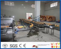 China Small Scale Milk Processing Equipment For Tunnel Continuous Pasteurization Process for sale