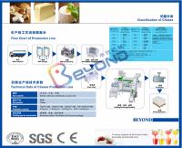 China Industrial Cheese Making Machine 20TPD Dairy Processing Line with EC Certificate for sale