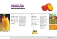 China Mango Juice Making Machine Mango Processing Line Fully Automatic PLC Control for sale