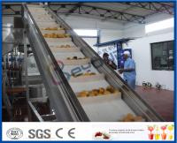 China Mango Juice Processing Machine 5-50T/H Mango Pulp Production Line with Pasteurizer for sale