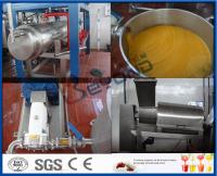 China Mango Processing Plant 50T/H Mango Juice Extractor Machine with Aseptic Filling for sale