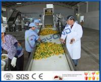 China Pineapple Mango Processing Line , Fruit Juice Mango Pulp Processing Plant for sale