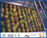 China Pineapple Mango Processing Line , Fruit Juice Mango Pulp Processing Plant for sale
