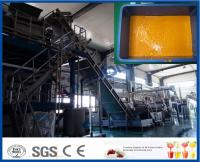 China Sea Buckthorn Juice Processing Line 20-2000T/D Fruit Pulping Equipment for Juice Concentrate for sale