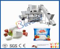 China Industrial Cheese Making Machine 20TPD Dairy Processing Line with EC Certificate for sale