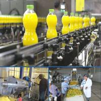 China Industrial Pineapple Juice Processing Line 5-50T/H 380V 50Hz Concentrate Production Machine for sale