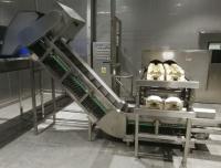 China 6000LPH Automatic Control Coconut Milk Processing Plant with Plate Pasteurizer 4000L/H for sale