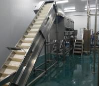 China Automatic Control Coconut Milk Processing Plant / 4000LPH Fruit Processing Plants for sale
