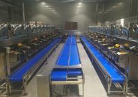 China Automatic Control Coconut Milk Processing Plant / 4000LPH Fruit Processing Plants for sale