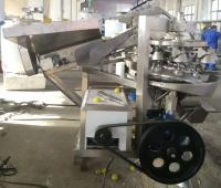 China 10TPH Commercial Citrus Juice Extractor 5.5kw 300-320pcs/min for sale