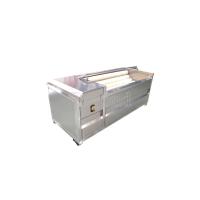 China Industrial Fruit Washing Machine High Efficiency Brush Roller Cleaner 3000mm Length 1.1kw for sale
