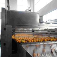 China 5t/H Adjustable Speed Fruit Vegetable Brush Washer Stainless Steel 3000x1250mm for sale