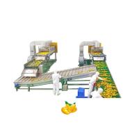 China Mango Processing Plant 50T/H Mango Juice Extractor Machine with Aseptic Filling for sale