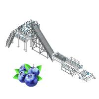 China 12brix Full Automatic Strawberry Processing Equipment for sale