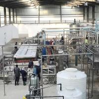 China 12brix Full Automatic Strawberry Processing Equipment for sale