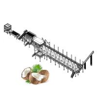 China Automatic Control Coconut Milk Processing Plant / 4000LPH Fruit Processing Plants for sale