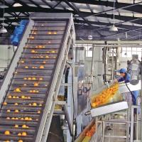 China Automatic 3 in 1 Citrus Fruit Juice Processing Machine 2-10 T/H CE ISO for sale