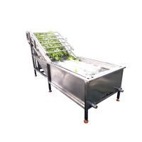 China Automatic Industrial Bubble Washing Machine for Fruits Vegetables 220V 2-20T/H for sale