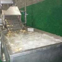 China Automatic Industrial Bubble Washing Machine for Fruits Vegetables 220V 2-20T/H for sale