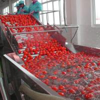 China Automatic Industrial Bubble Washing Machine for Fruits Vegetables 220V 2-20T/H for sale