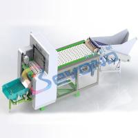 China Automatic Mango Washing Waxing Grading Machine For Fruit Processing for sale