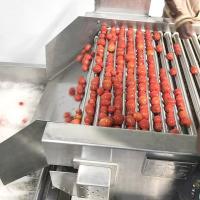 China ISO9001 Tomato Processing Line 2-50T/H for Concentrated Paste and Juice for sale