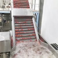 China ISO9001 Tomato Processing Line 2-50T/H for Concentrated Paste and Juice for sale
