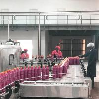 China ISO9001 Tomato Processing Line 2-50T/H for Concentrated Paste and Juice for sale