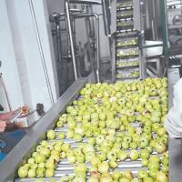 China Industrial Apple Juice Processing Line Fruit Juice Making Machine 5-50T/H for sale