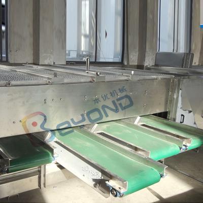 Cina Macchina industriale 380V del selezionatore della frutta dell'attrezzatura di lavorazione della frutta di acciaio inossidabile in vendita