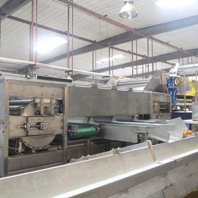 Cina Macchina industriale 380V del selezionatore della frutta dell'attrezzatura di lavorazione della frutta di acciaio inossidabile in vendita