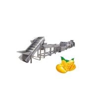 China 380V Industrial Mango Juice Processing Machine 5-50T/H Automatic Fruit Pulp Making Line for sale
