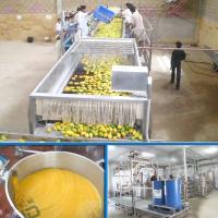 China 380V Industrial Mango Juice Processing Machine 5-50T/H Automatic Fruit Pulp Making Line for sale