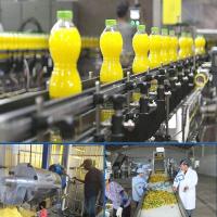 China 380V Industrial Mango Juice Processing Machine 5-50T/H Automatic Fruit Pulp Making Line for sale