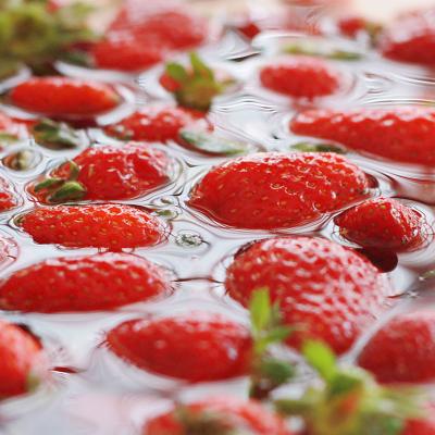 China Industrial Fruit Cleaning Machine Automatic Strawberry Washing Machine for sale