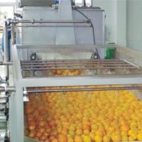 China SUS304 Automatic Mango Washing Machine Industrial Fruit Cleaning 1-40 T/H for sale