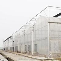 China Optimal Irrigation Agricultural Multi Span Plastic Greenhouse for Single Layer Crops for sale