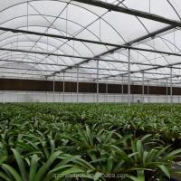 China Optimal Irrigation Agricultural Multi Span Plastic Greenhouse for Single Layer Crops for sale