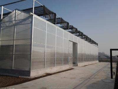 Super Strong Resistance 8mm Polycarbonate Covering Multi-Span Greenhouse for Tomatoes