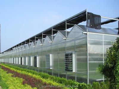 4m Bay Width Multi Span Greenhouse Agricultural Cover Material Super Strong Resistance