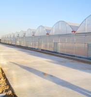 China 8m Span Width Multi Span Agricultural Commercial Tomato Greenhouse with Cooling System for sale
