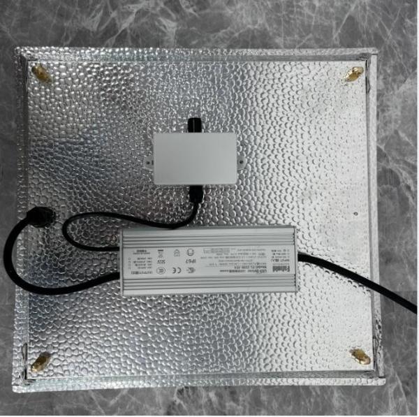 Quality Dimmable Full Spectrum White Light 660nm Quantum Board LED Grow Light For Indoor for sale