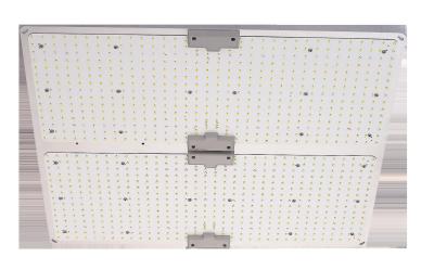 China Revolucionário LED Crescer Luz Quântico Tabela 400W Para cultivo de plantas de alto rendimento à venda