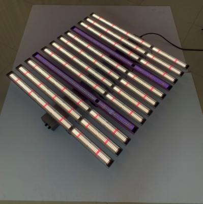 Cina Leggio di alluminio 1060W Lampada a LED a spettro completo per la coltivazione delle piante in vendita